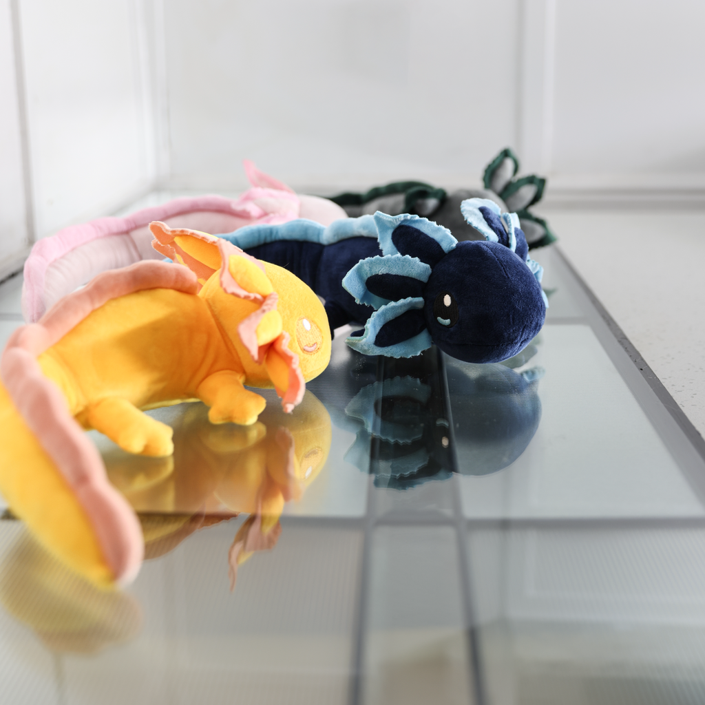 Mini Realistic Axolotl Plush– Axol and Friends