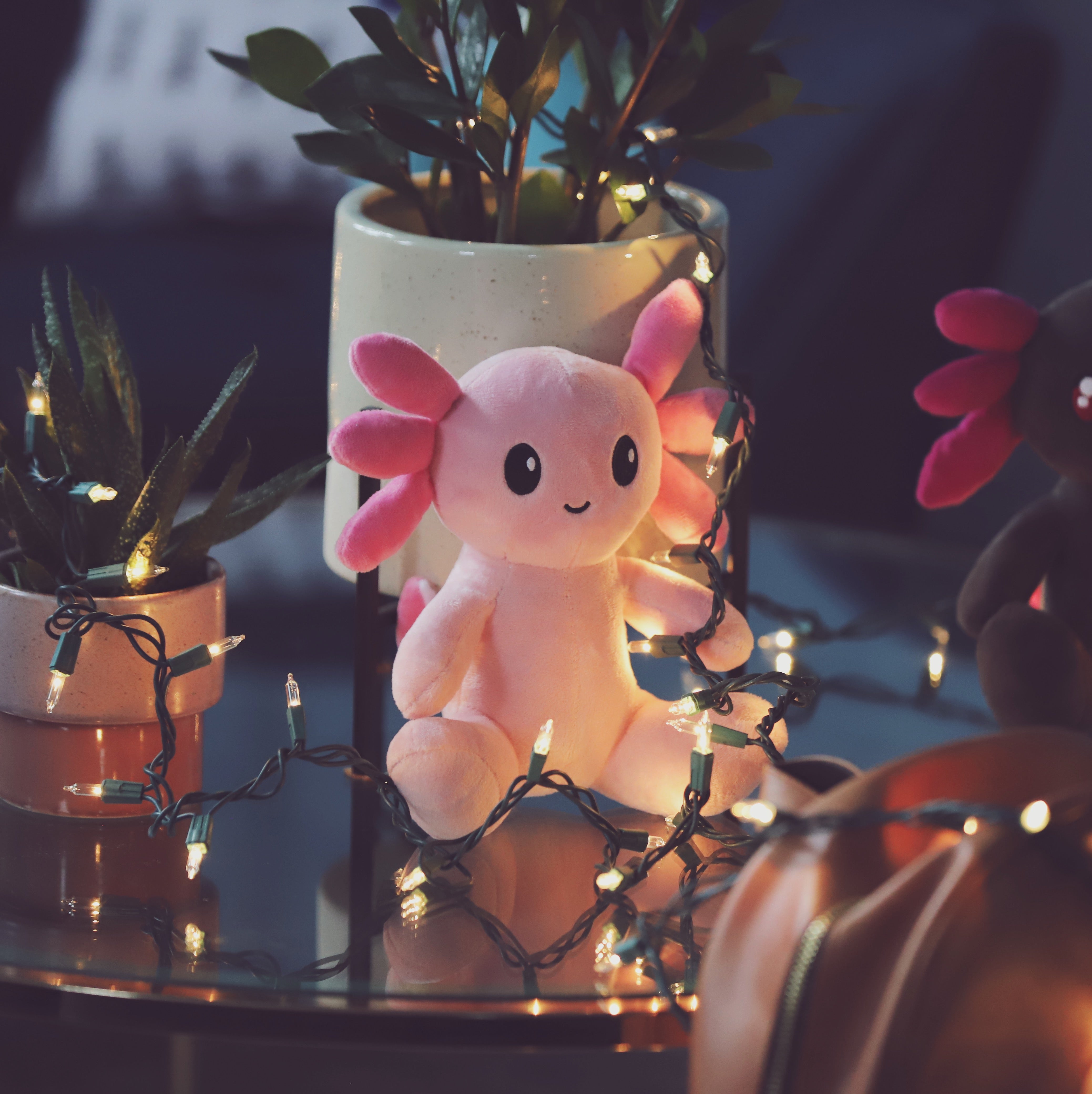 Axol the Axolotl– Axol and Friends
